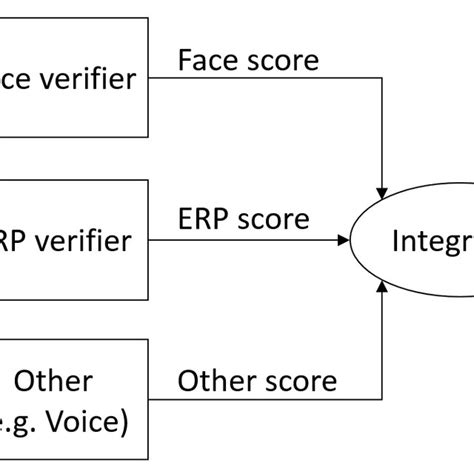 An Example Of The Color Varying Visual Oddball Paradigm Download