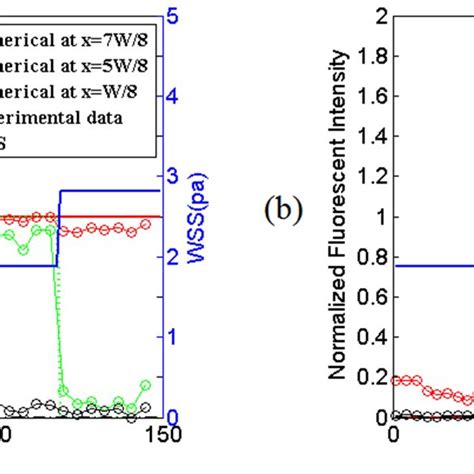 Comparison Between Simulation Results And Experimental Data Of Combined