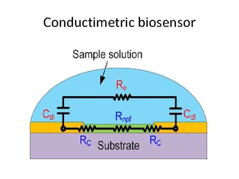 Definition Introduction Types Principle Definition A Biosensor Is