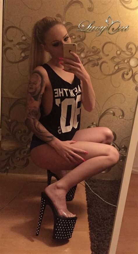 Lucy Cat In This Hot Picture Lsfr