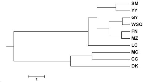 Dendrogram Obtained Using Upgma Cluster Analysis Based On Neis Genetic