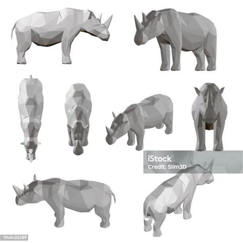 다른 위치에 다각형 코뿔소와 함께 설정 합니다 3d 벡터 일러스트 머리에 대한 스톡 벡터 아트 및 기타 이미지 머리 코뿔소 기하 도형 Istock