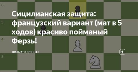 Сицилианская защита французский вариант мат в 5 ходов красиво