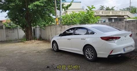 흉가 탐험하던 유튜버 폐가에서 진짜 시신 발견했다경악 파이낸셜뉴스