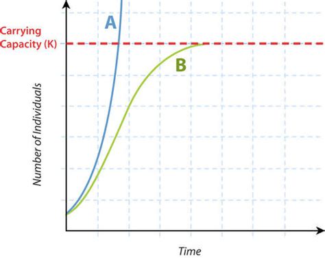 6 20 Population Growth Patterns Biology Libretexts