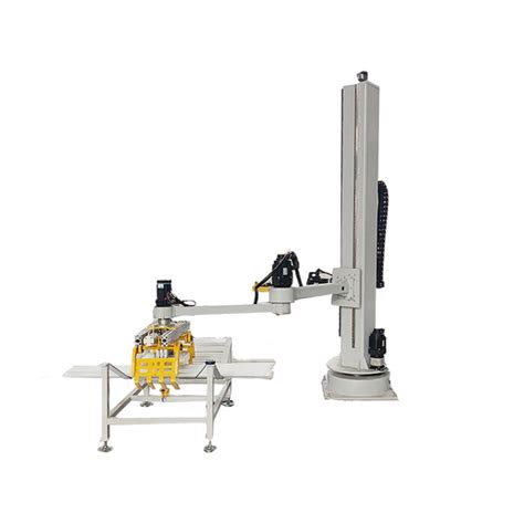 Best Automatic Palletizer Machine Manufacturer And Factory Tongli