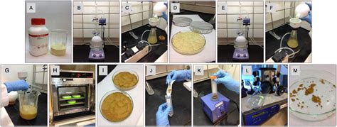 Extraction Of Plant Based Capsules For Microencapsulation Applications Protocol Translated To