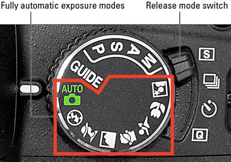 How To Set Automatic Features With A Nikon D3100 Dummies