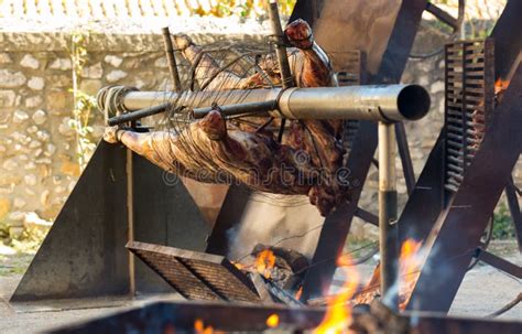 Whole Bull Carcass On Spit Stock Image Image Of Gourmet 216588453