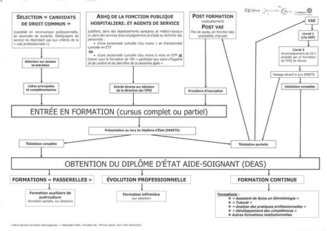 La Formation Aide Soignante Ifsi De Vienne