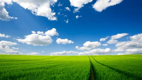 🔥 [100 ] Free Widescreen Wallpapers And Screensavers Wallpapersafari