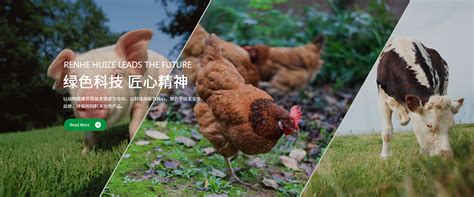 江西和泽生物科技有限公司 饲料防霉剂 酸化剂 抗氧化剂