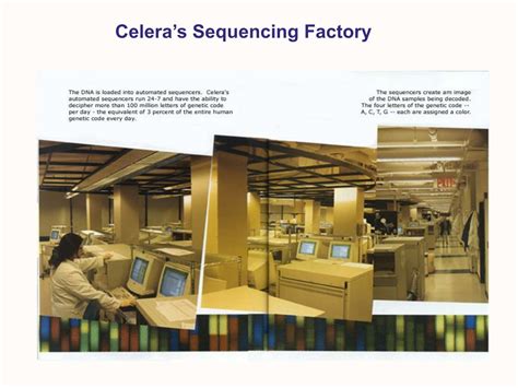 Ppt Celera Assembler Powerpoint Presentation Free Download Id9197769