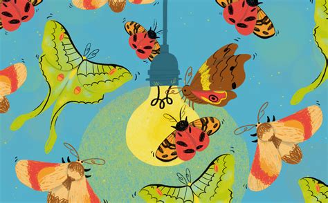 Moths By Xneszart On Deviantart