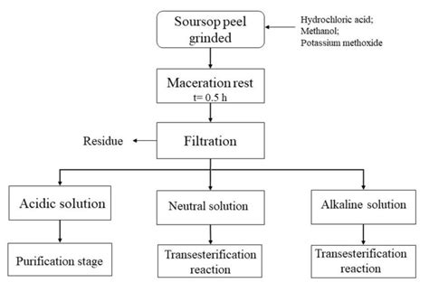 Soursop Peel Natural Antioxidants Extractions Methodology Download