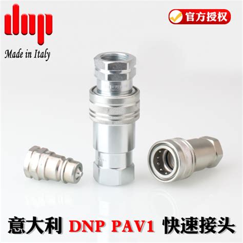 Original Authentic Italian DNP Pav1 Hydraulic Oil Pressure High