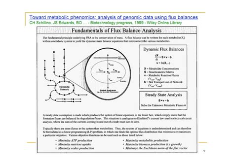 Metabolic Network Analysis Pdf Biological Sciences Science