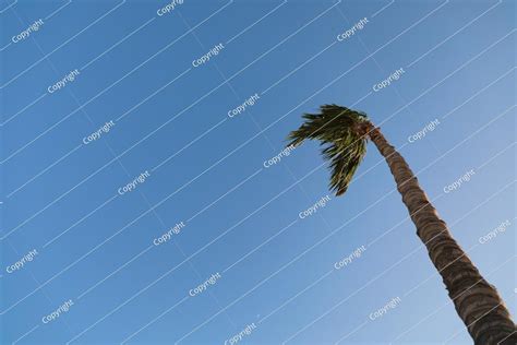 Jebel Ali Beach Photo