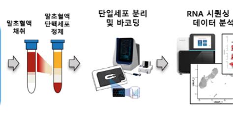 국내 연구진 폐경기 여성 골다공증 치료 개발 새 길 열었다
