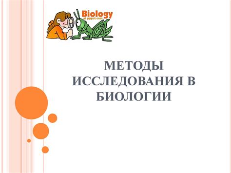Методы исследования в биологии презентация онлайн