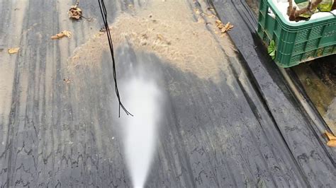 하우스온도 높이려면 청소 Youtube