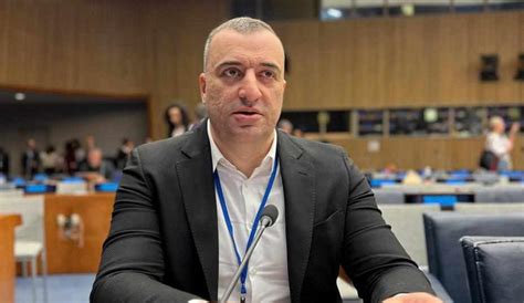 რატი იონათამიშვილი ადამიანის უფლებათა და ჰუმანიტარული სამართლის დარღვევები განსაკუთრებით მძიმე