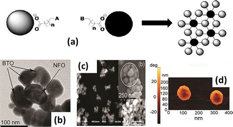 A Schematic Diagram Showing The Chemical Assembly Of Core Shell Download Scientific Diagram