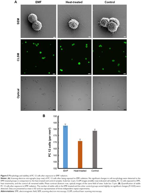 Exposure To High Frequency Electromagnetic Field Triggers Rapid Uptake Ijn