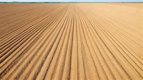 손길이 닿지 않은 광대한 농업 풍경 눈에 보이는 수확기 표시가 있는 토양 설계를 위한 빈 캔버스 농업 배경 경작지 농업 분야 배경 일러스트 및 사진 무료 다운로드