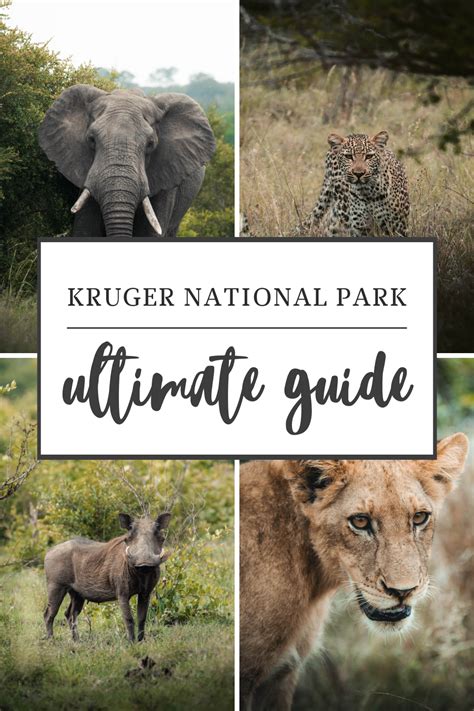 Kruger National Park Complete Guide Artofit