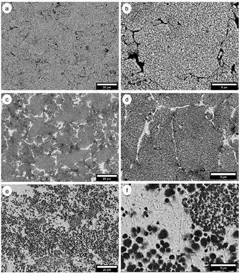 Microstructure Of The Sample Core A B After Being Heated Up To 473 Download Scientific