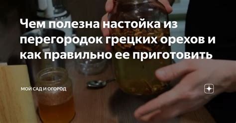 Чем полезна настойка из перегородок грецких орехов и как правильно ее приготовить Мой сад и
