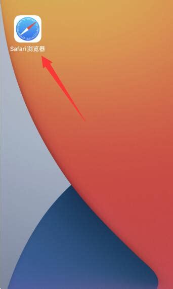 Safari