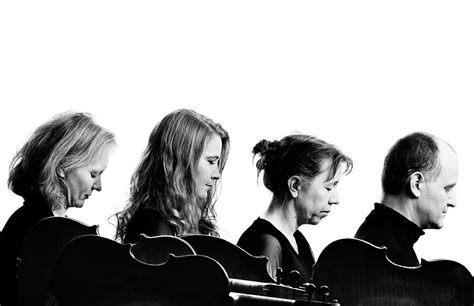 Non Classical Portraits Of Classical Musicians Artofit