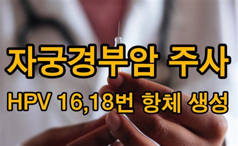자궁경부암 원인 Hpv 인유두종 바이러스 백신 예방접종 주사 가격 네이버 블로그