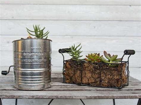 Make A DIY Succulent Planter From Thrifted Treasures IkornCrafts