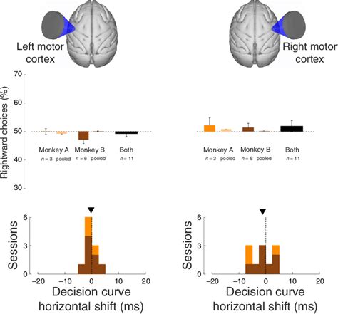 Stimulation Of Motor Cortex Had No Effect On Choice Behavior Same