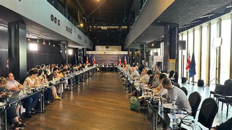 პარლამენტის და „ეროვნული პლატფორმის“ ორგანიზებით ევროინტეგრაცაზე კონფერენცია მიმდინარეობს