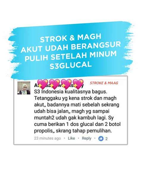 Detail Glucal Website Resmi S3 Glucal