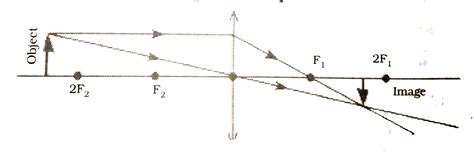 Ray Diagram Grade 8 At Winston Blanton Blog