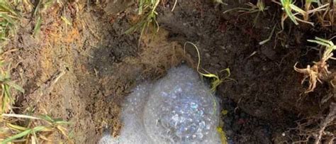 Services Archive Melbourne Water Gas Leak Detection