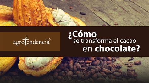 Así se hace el CHOCOLATE 3 maneras de procesar el CACAO YouTube