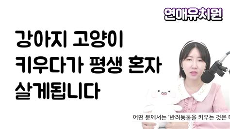 강아지 고양이 키우다가 평생 혼자 살게됩니다 Youtube