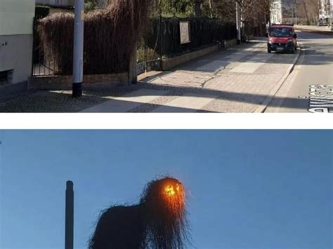 밤에 보면 무서운 가로등 유머 게시판