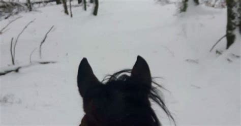 Snow Album On Imgur
