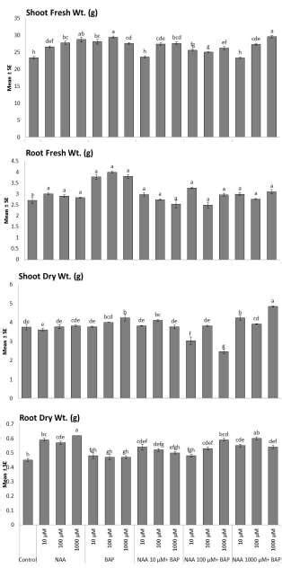 Effect Of Naphthalene Acetic Acid Naa And Bezylaminopurine Bap