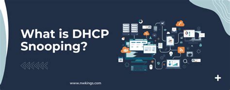 What Is Dhcp Snooping Best Explained