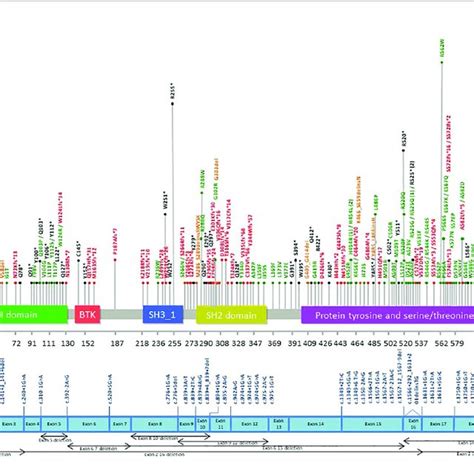 Distribution Of Casual Mutations In Various Exons Exon Intron