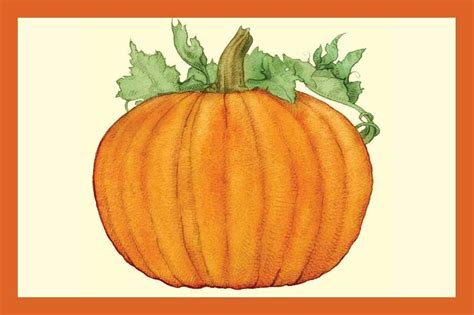 Premium Pumpkin Spice White Balsamic Vinegar At The Olive Oil Store