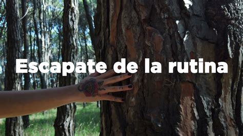 Adelántate al Verano Respirá Necochea YouTube
